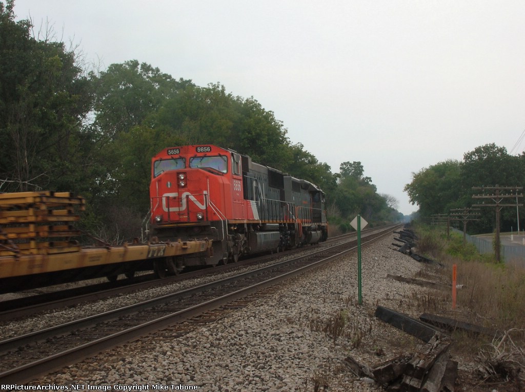 CN 5656